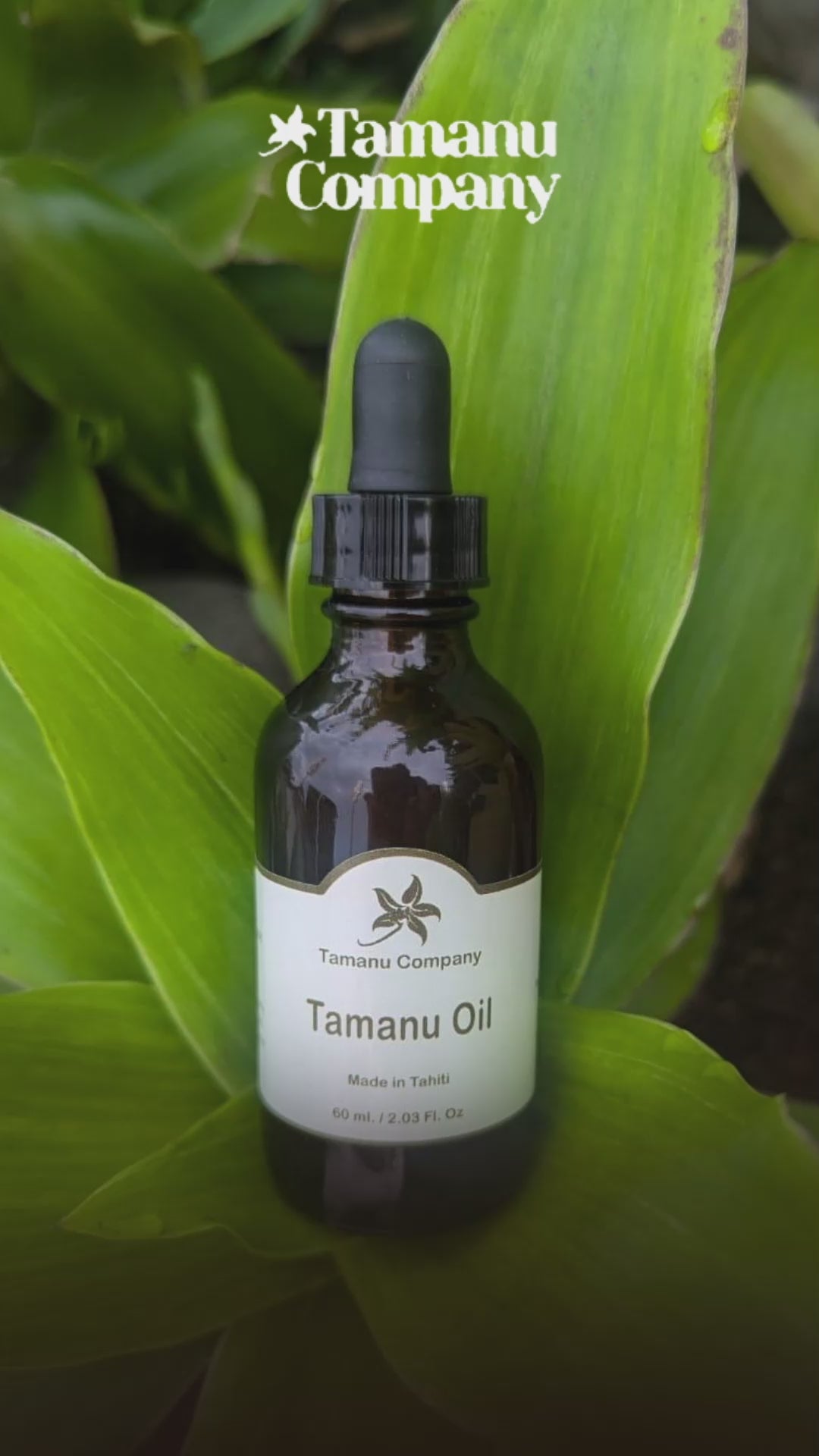 Tamanu oil from Tahiti – Tamanu Company
